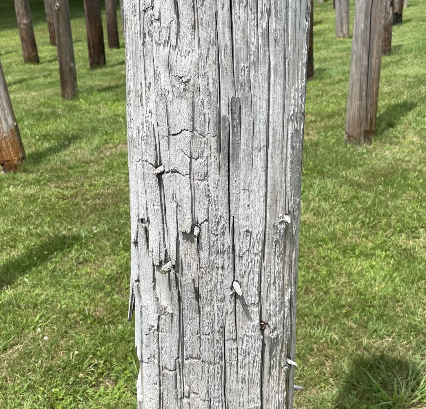 Chester Pole Farm Tour rings a bell with history buffs | News ...