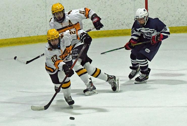 Watchung Hills Regional off to 2-0 hockey start | Sports ...