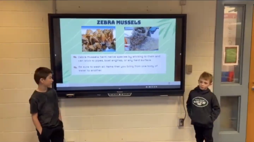 greenvision solutions