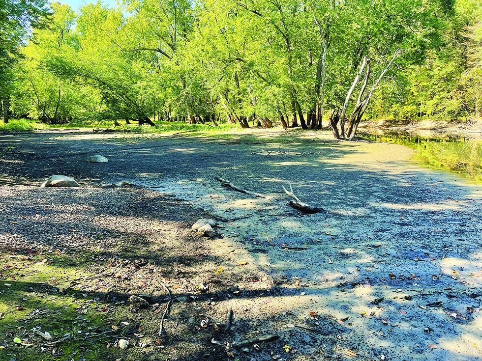 Fall Paddle Club cancelled due to low river water | West Essex Tribune ...