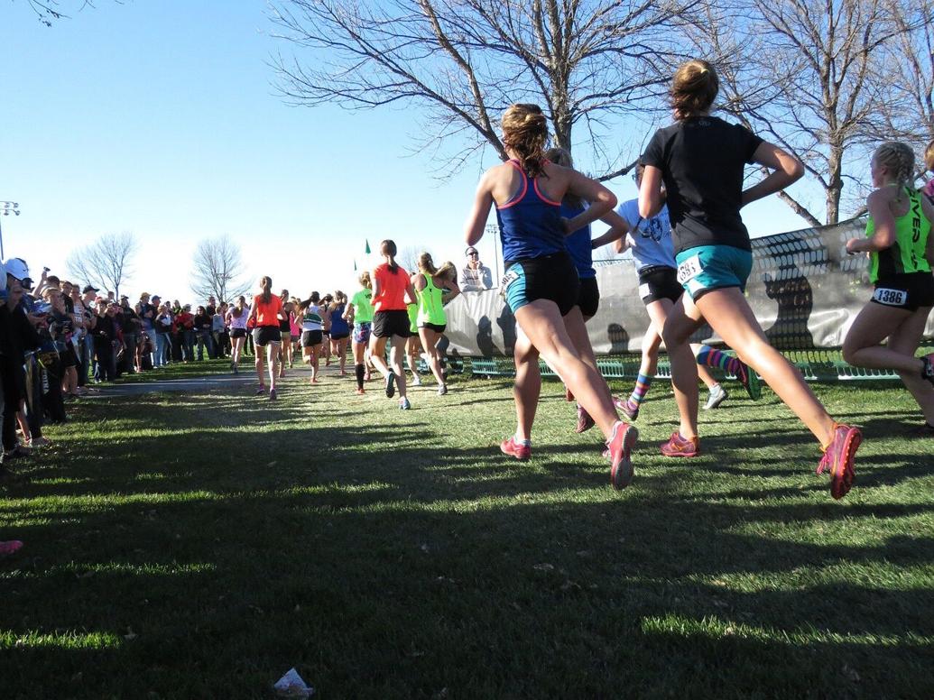 Morris Hills' Falcone concludes cross country season at state Meet of ...