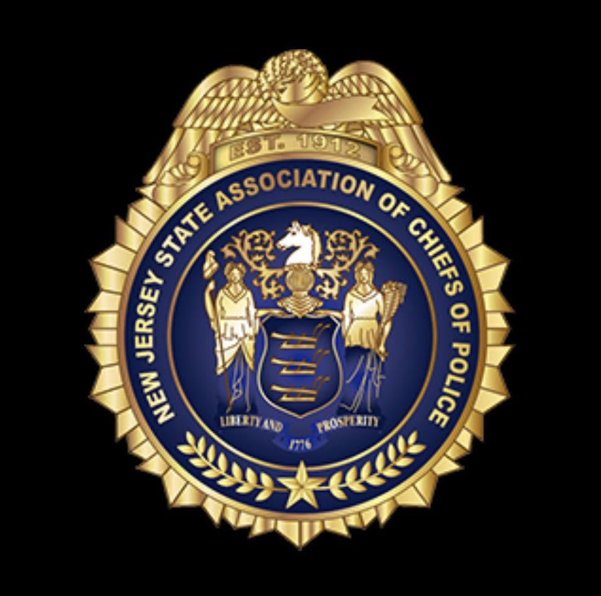 Fairfield Police participate in Goal Zero enforcement initiative | News ...