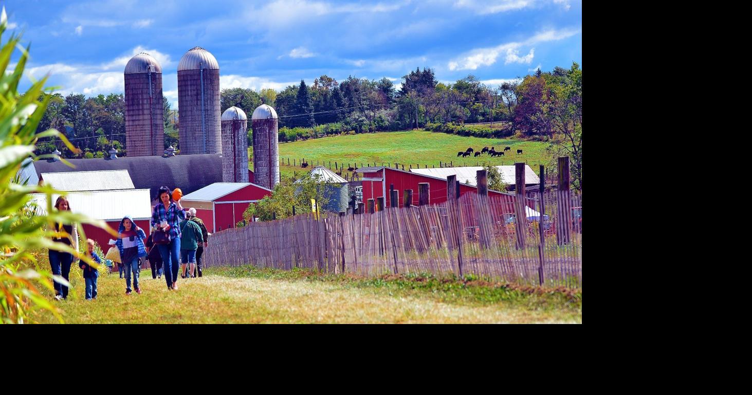 Readington buffalo farm gets ready for its closeup with TV series shoot ...
