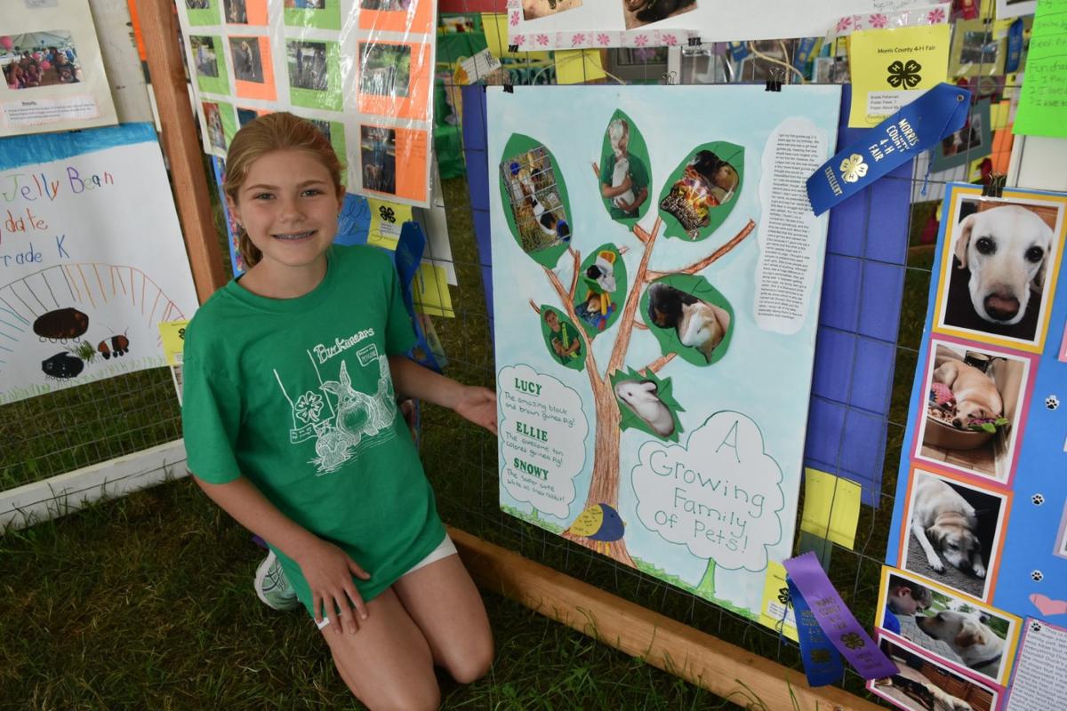 4-H fun: Chester's Chubb Park hosts annual Morris County fair ...