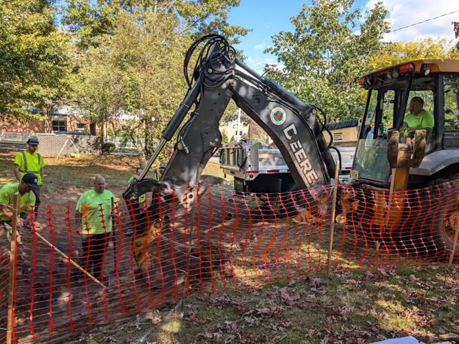 Rain garden to be dedicated at Madison library Nov. 2 | News ...