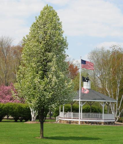 Florham Park to charge use fees for gazebo, underused baseball field ...