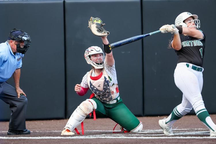 North Hunterdon softball falls to No. 4 Steinert in state finals ...