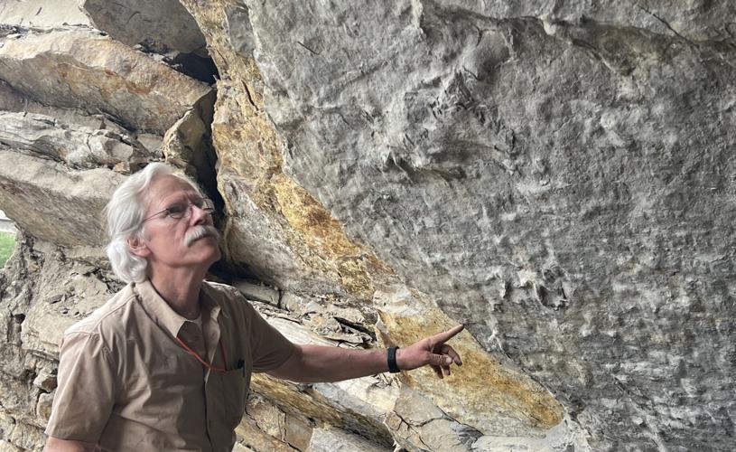Paul Olsen, Riker Hill Fossil Excavator, Now Paleontologist & Columbia ...