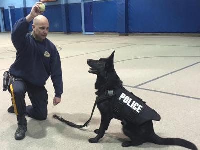 Police dog Onyx recalled by Warren Township Committee | News ...