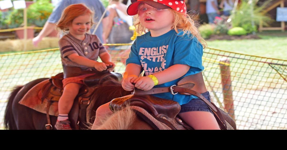 Full speed ahead for the 2021 Hunterdon County Fair set for late August ...