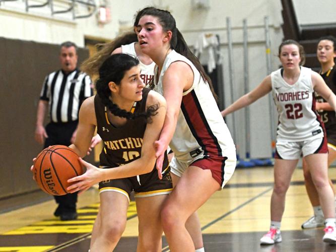 Watchung Hills wrestlers fall in sectional semifinal | Sports ...