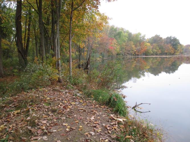 Florham Park’s affordable housing obligation down to 305, borough ...