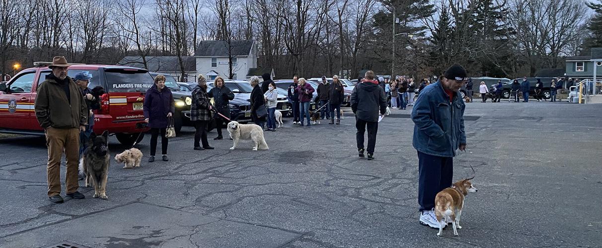 Free rabies clinic to be held Jan. 19 in Budd Lake | News ...