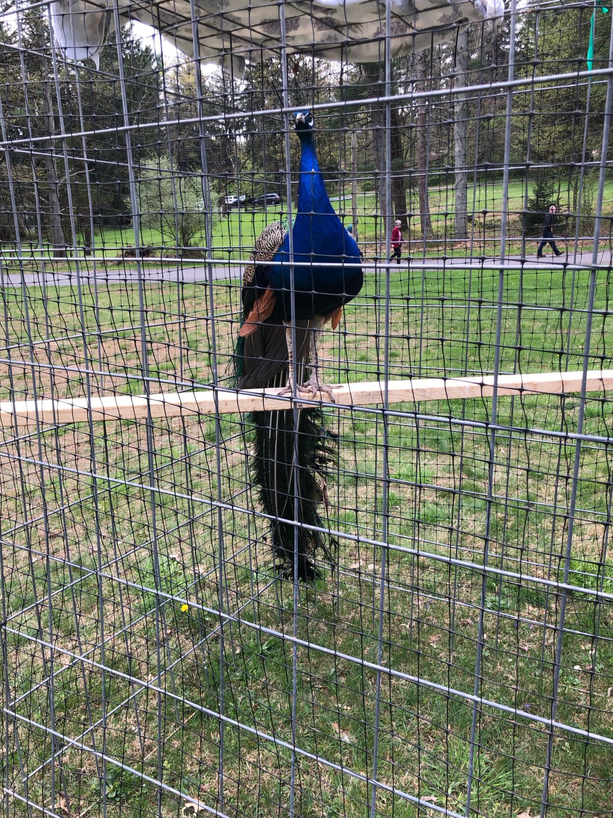 Echo Hill Park hosts Hunterdon's Earth Day celebration | News ...