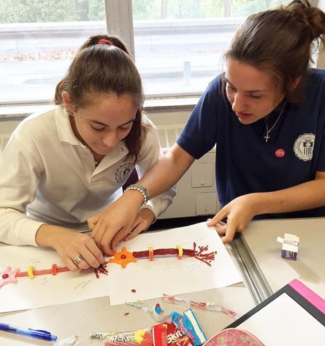 Sweet Psychology Lesson: Mount Saint Mary Academy students craft ...