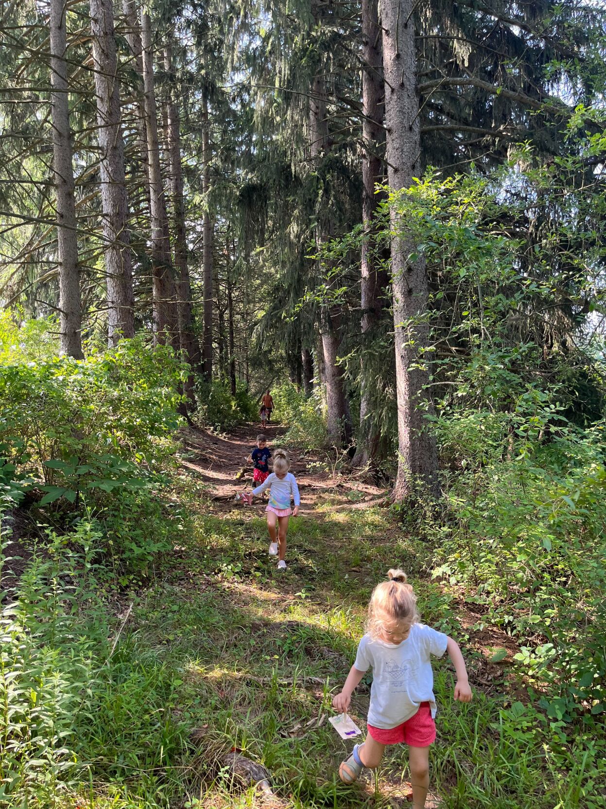 RHA’s ‘Nature Days’ programs for kids start March 21 | News ...