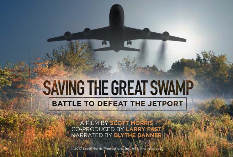 ‘Saving the Great Swamp’ movie to be screened at Morristown & Morris ...