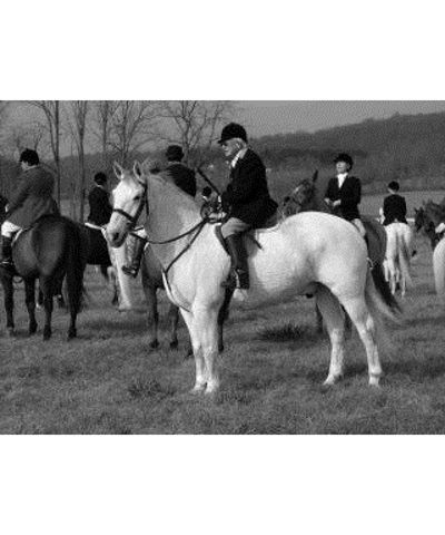 Elizabeth 'Betty' Mead Merck, 95, Bedminster equestrian ...