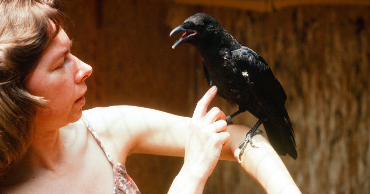 Raptor Trust Co-founder Diane Soucy dies at 83 | News | newjerseyhills.com