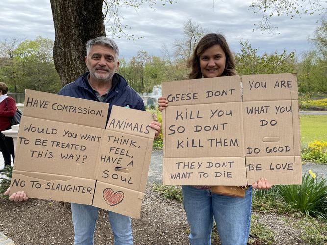 'Don't gas the geese:' Protest against euthanizing Canada geese in P-G ...