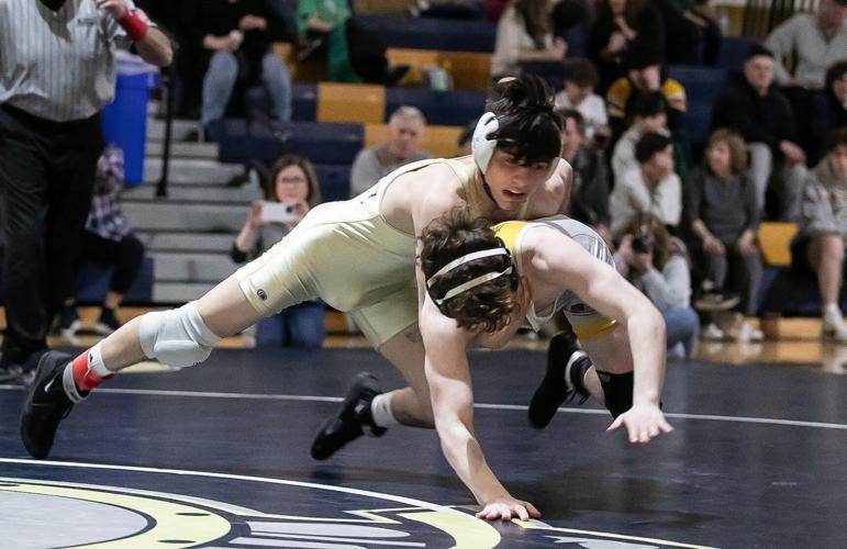 Roxbury's Knapp, Edelman, Stanich win district wrestling crowns | Bold ...