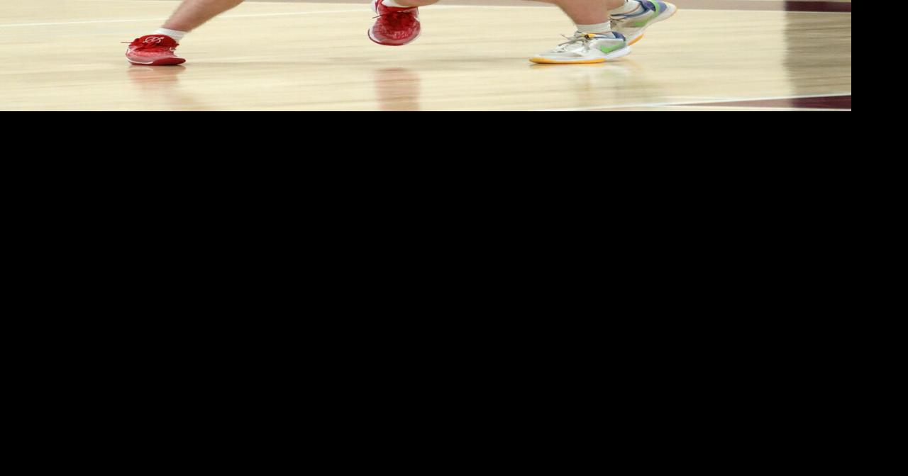 Mendham's Reddy, Barnicle win Morris County swim titles | Observer ...