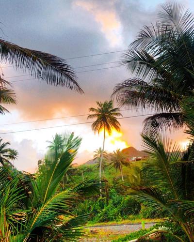 TRAVELS WITH KATE: Green is good: The four best eco-resorts in the ...