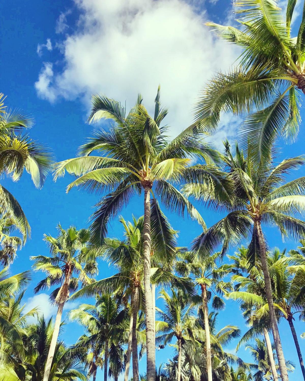 This (Lesser-Known) Side of Paradise: Explore Bahamian Culture in ...