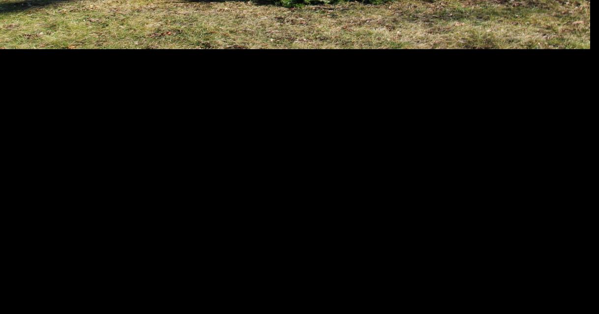 Honoring & Remembering | Roxbury Register News | newjerseyhills.com