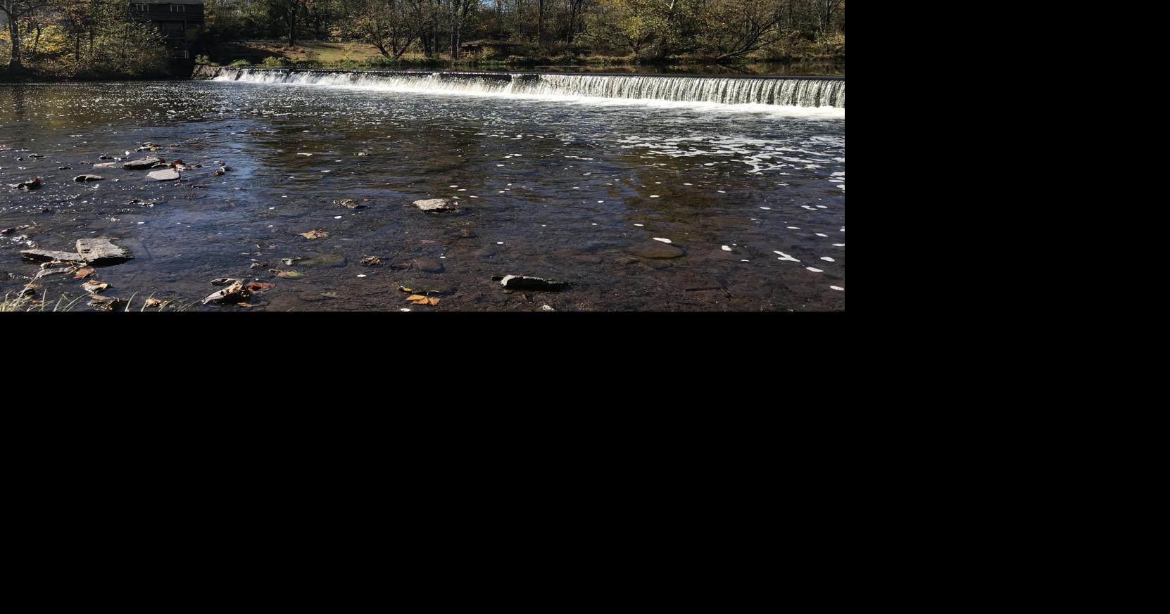 10,000 trees to be planted along North Branch of Raritan River | News ...