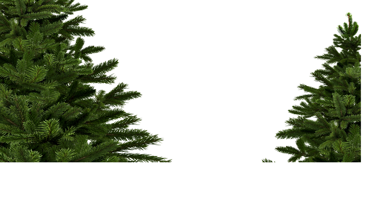 Warren residents: Recycle your tree | News | newjerseyhills.com