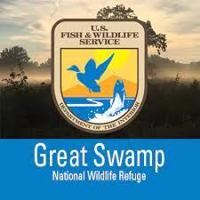 Friends of the Great Swamp offer guided walks | Biology ...