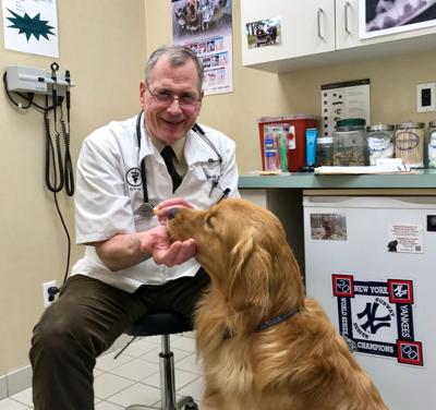 Dr. David W. Krick, 67, of High Bridge, distinguished veterinarian ...