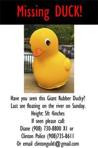 duck gone missing