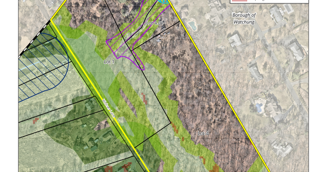 Developers intervene, cases consolidated in fight against Green Brook ...