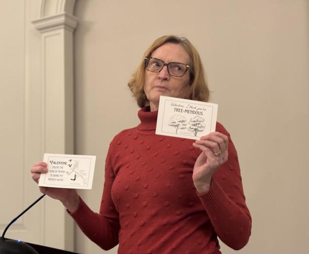 Signs for entrances to Madison, downtown parking planned | News ...