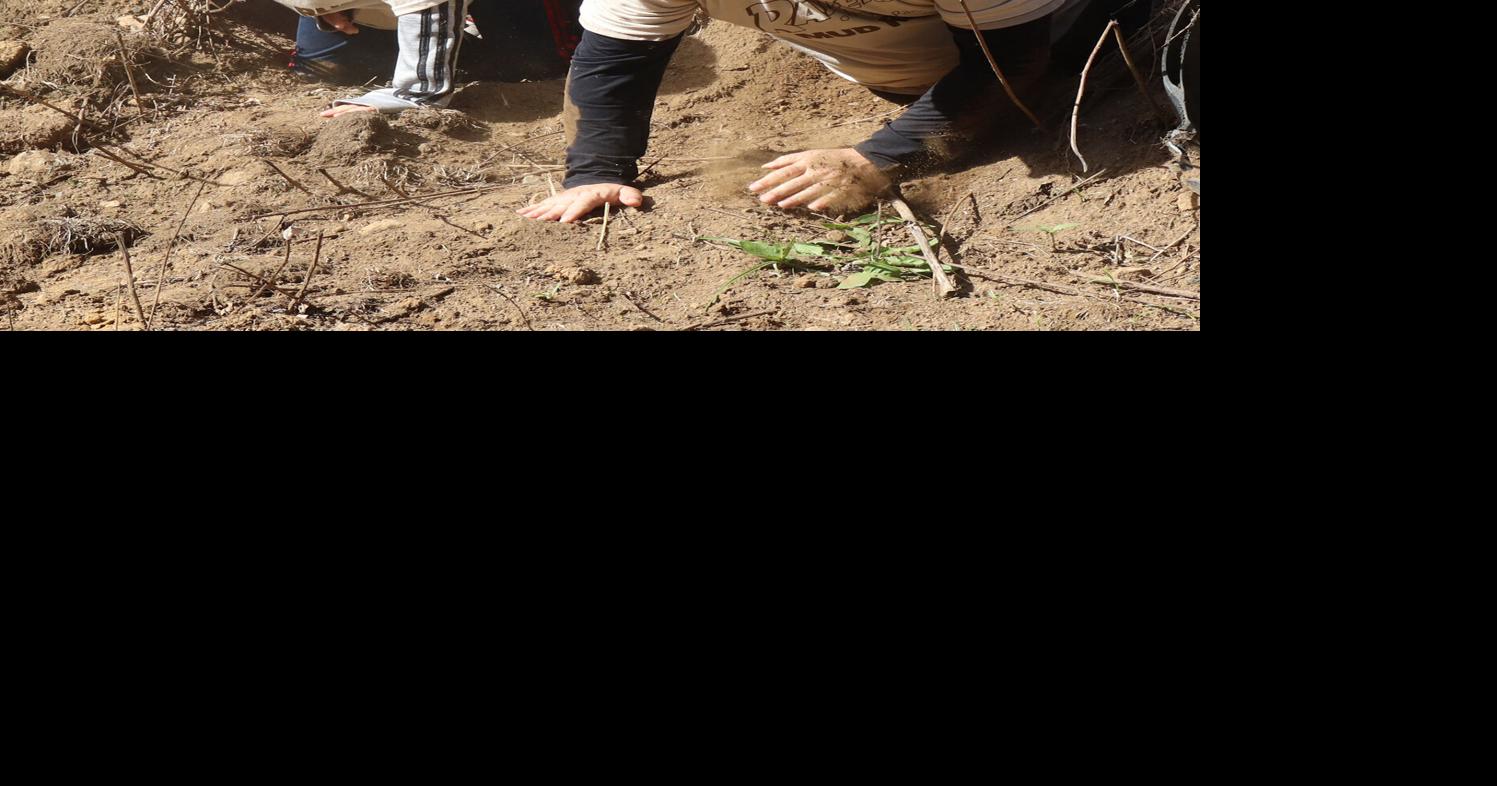 (VIDEO) What mud? Water restrictions turn Mount Olive's last mud run ...