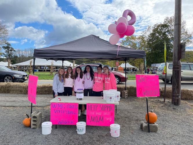 WMC girls volleyball, Ort Farms help local woman battle breast cancer ...