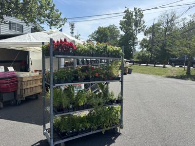 THINGS TO DO in the Watchung Hills | News | newjerseyhills.com