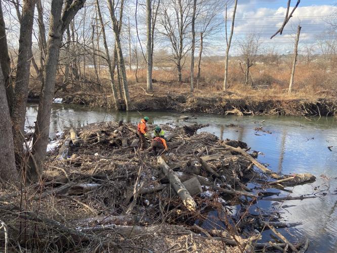 Work starts to clear Whippany River, help it flow, prevent flooding ...