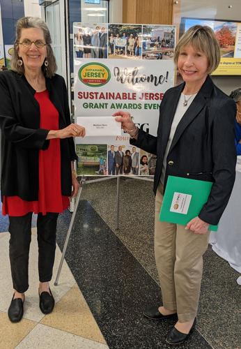 Madison officials mull ways to bolster sinking water table | News ...