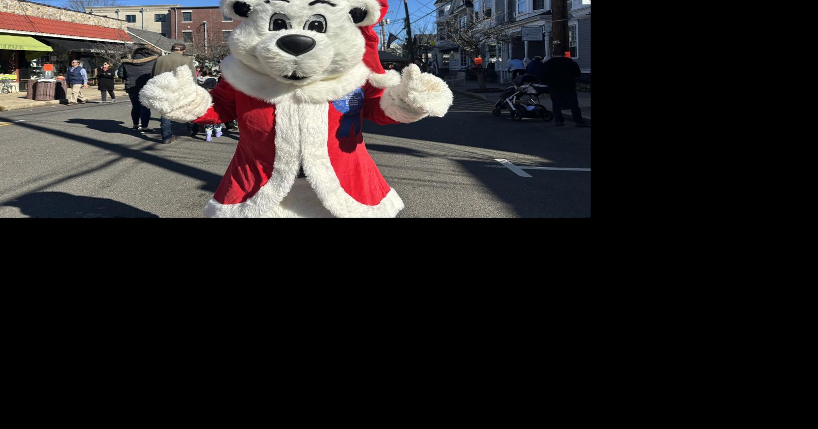(VIDEO) Clinton Town takes the 'polar' plunge with first-ever Winter ...