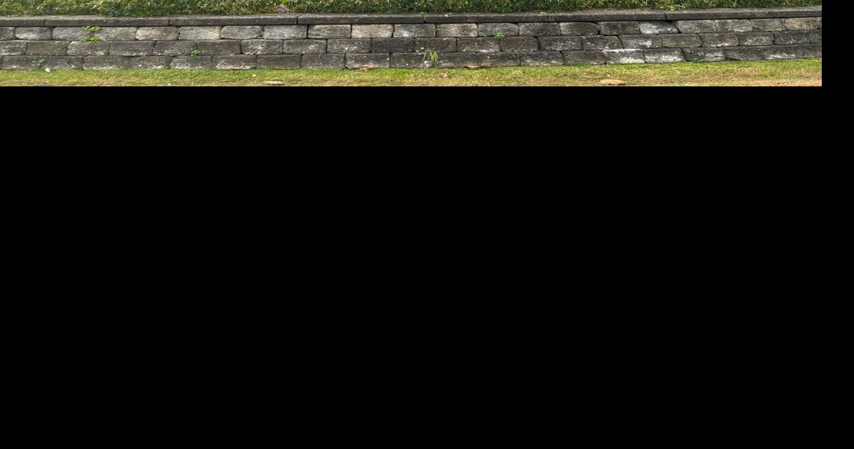 Watchung Rescue Squad preps for 33rd annual Tree of Lights | News ...