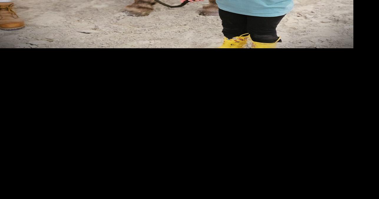 Mane Stream again offers its Paddock Pals program starting March 5 ...