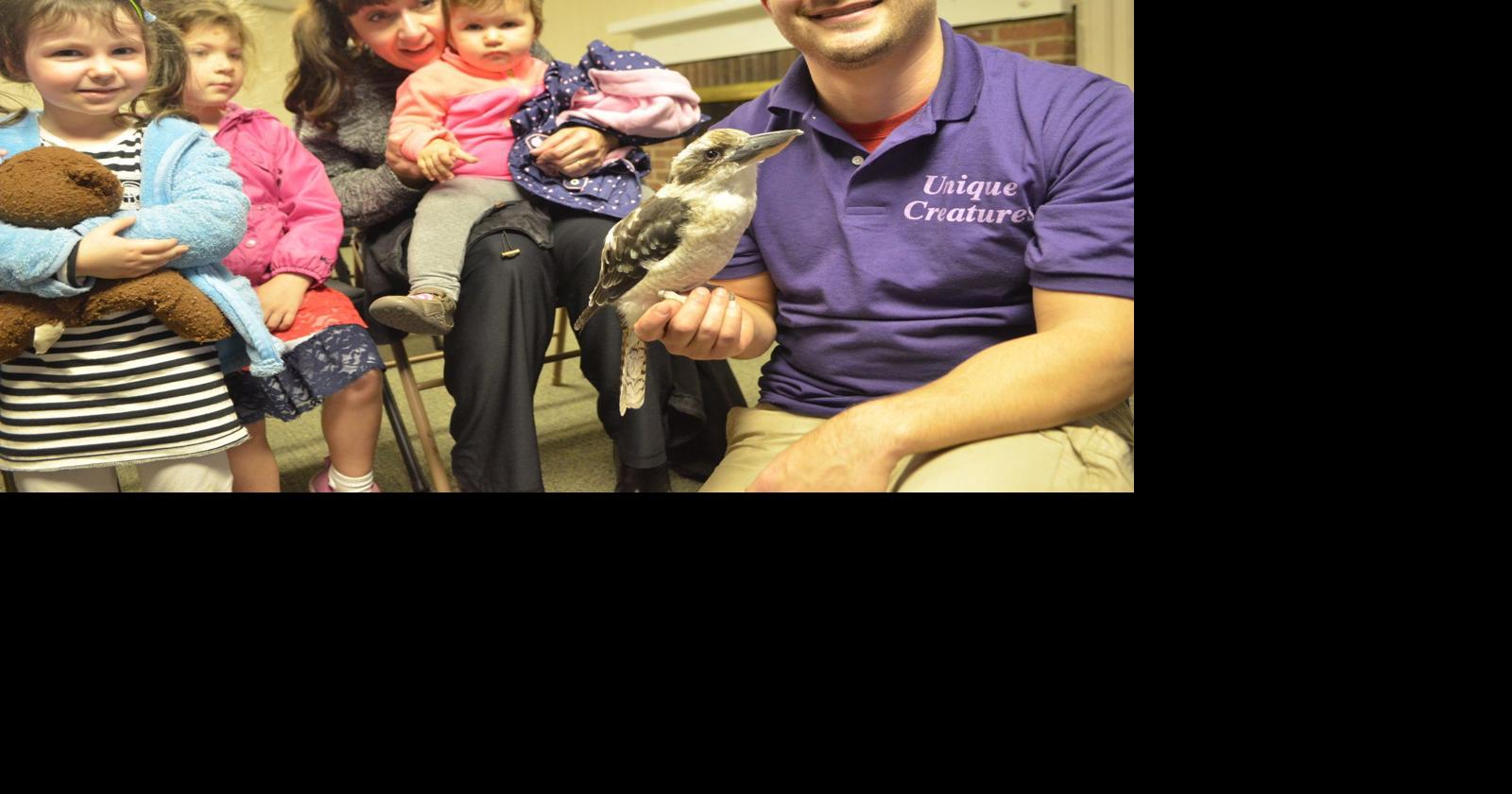 'Unique Creatures' to invade Watchung Library | News | newjerseyhills.com