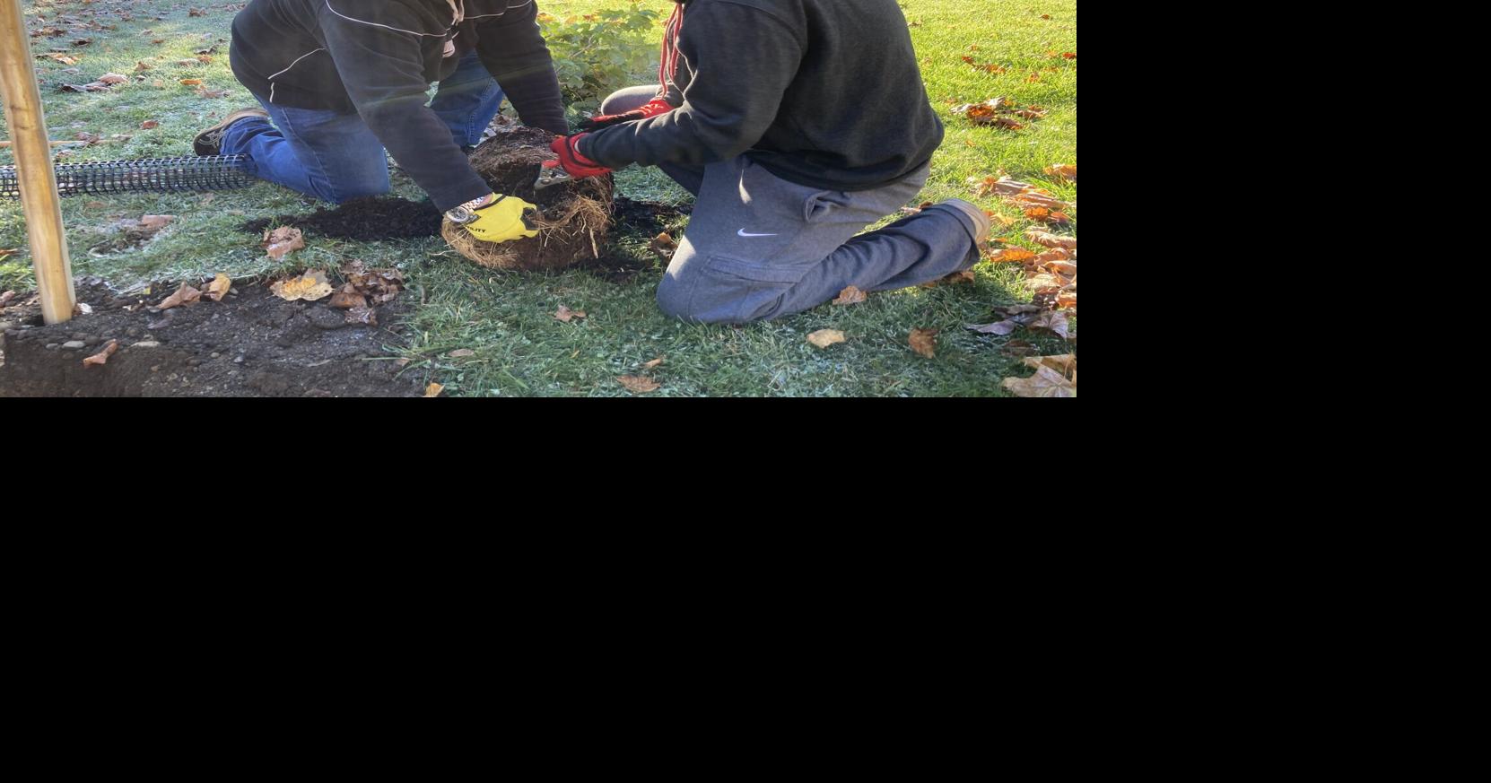 Help Washington Twp. Shade Tree Committee plant trees here on April 15 ...
