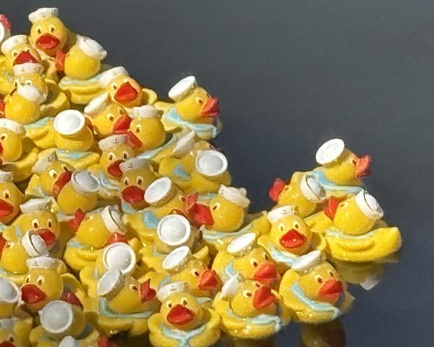 Long Valley First Aid Auxiliary benefit is 'Just Ducky'' | News ...