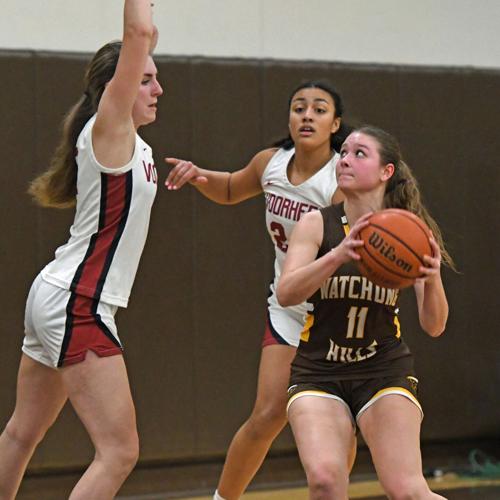 Watchung Hills wrestlers fall in sectional semifinal | Sports ...