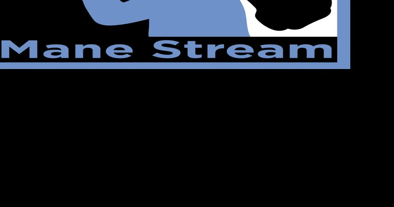 Mane Stream equine therapy seeks volunteers to assist with summer camp ...