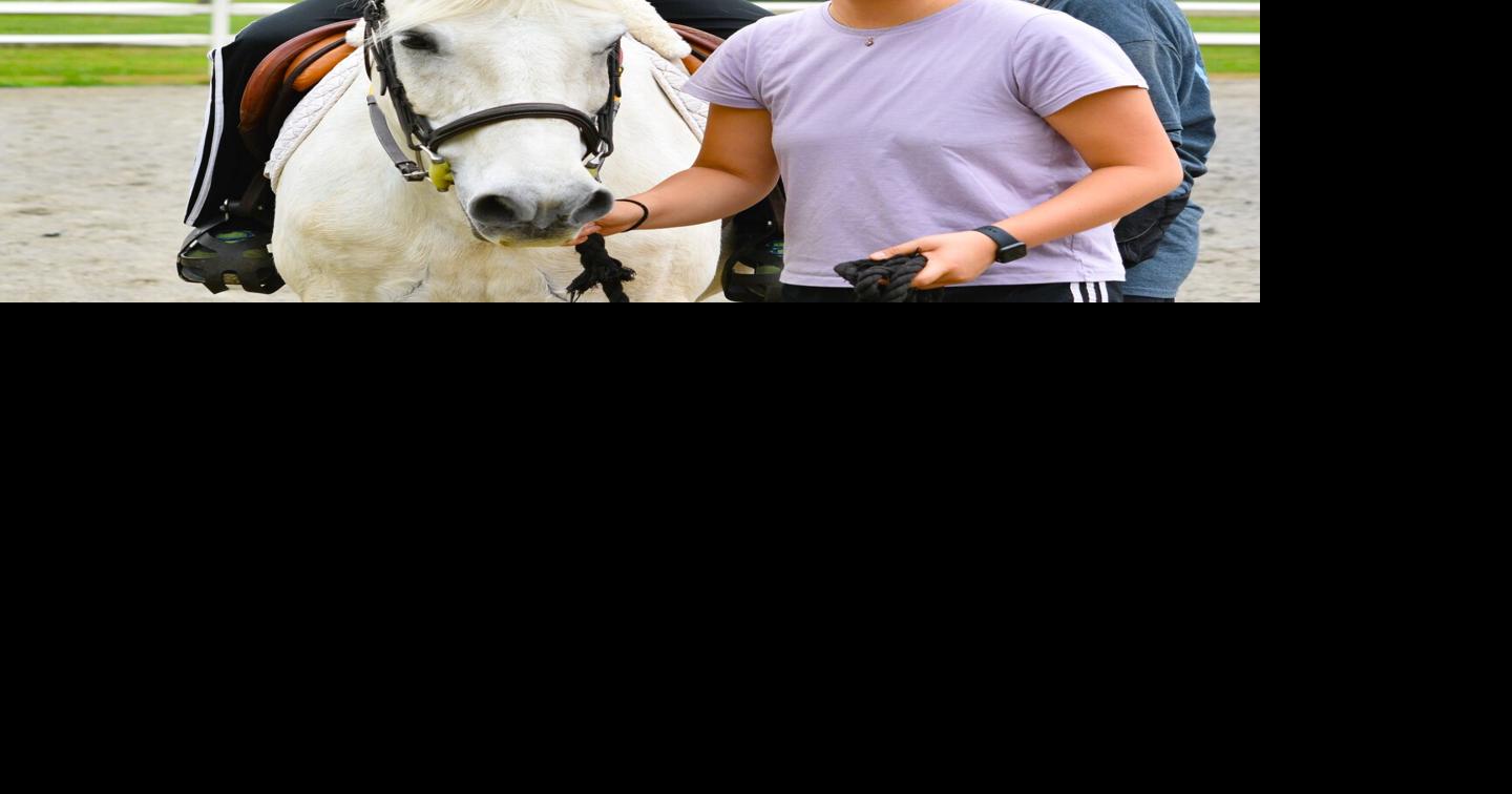 Mane Stream equine therapy needs volunteers for this spring | News ...